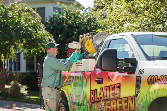 Seed Ticks: What they are and how to remove them