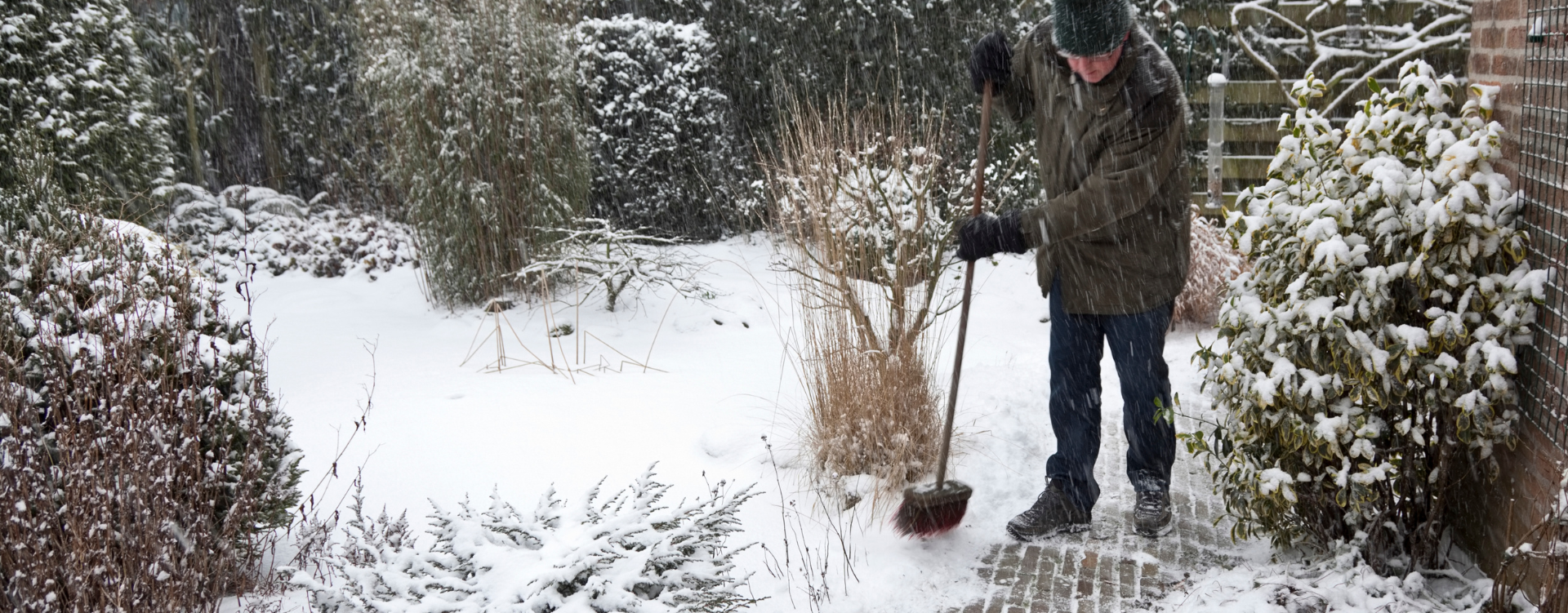Seed Ticks: What they are and how to remove them