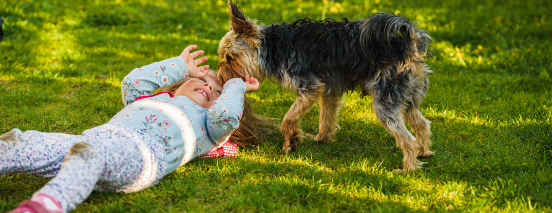 Keeping Your Lawn Lush: A Guide for Pet Owners