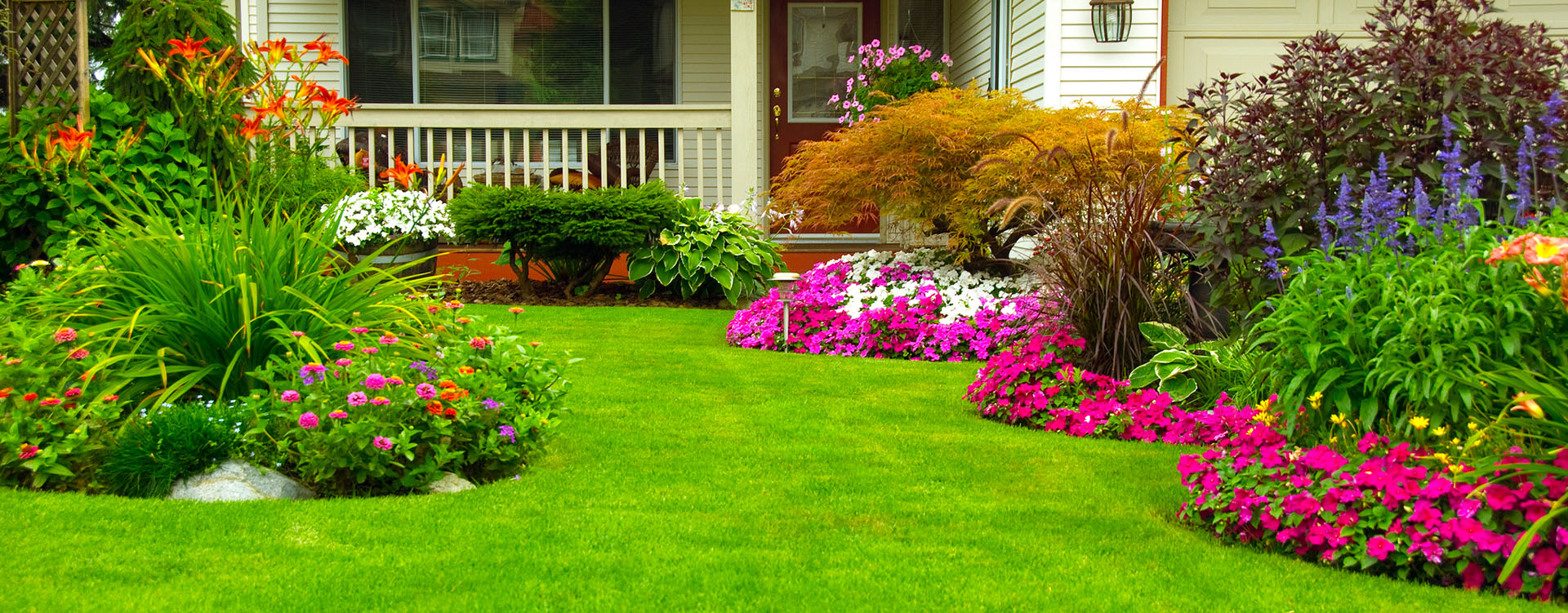 Common Grass Diseases & Fungus In Maryland