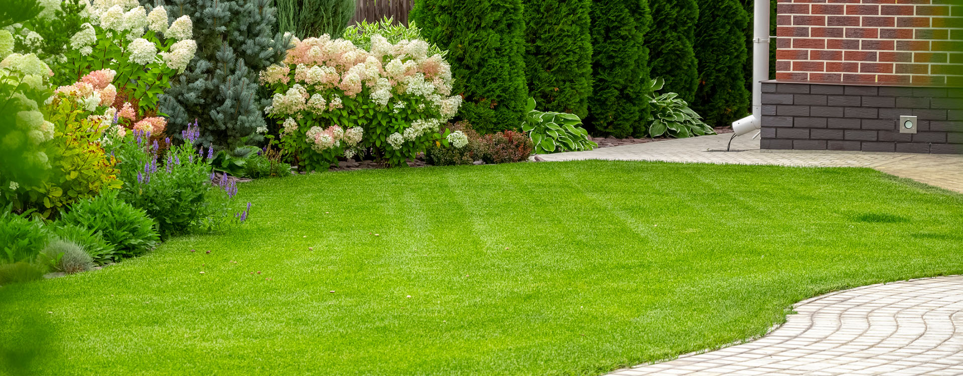 How to Prevent & Control Grubs in Maryland & Virginia